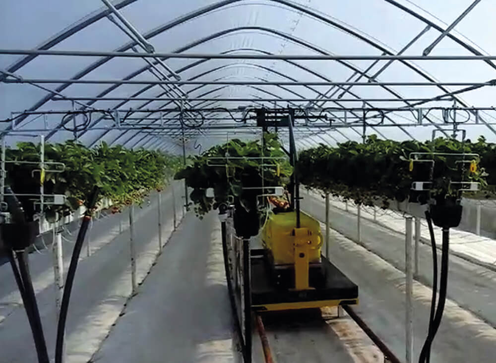 Photos Qii-Jet TAH 340 H